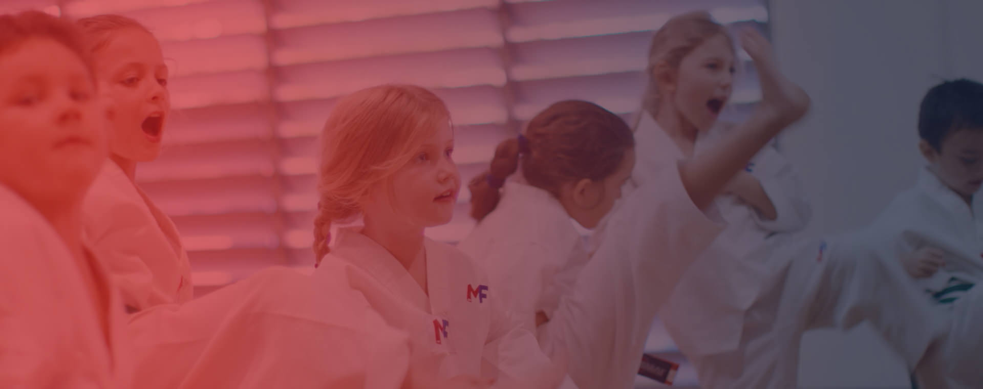 Mattfiddes-Martial Arts